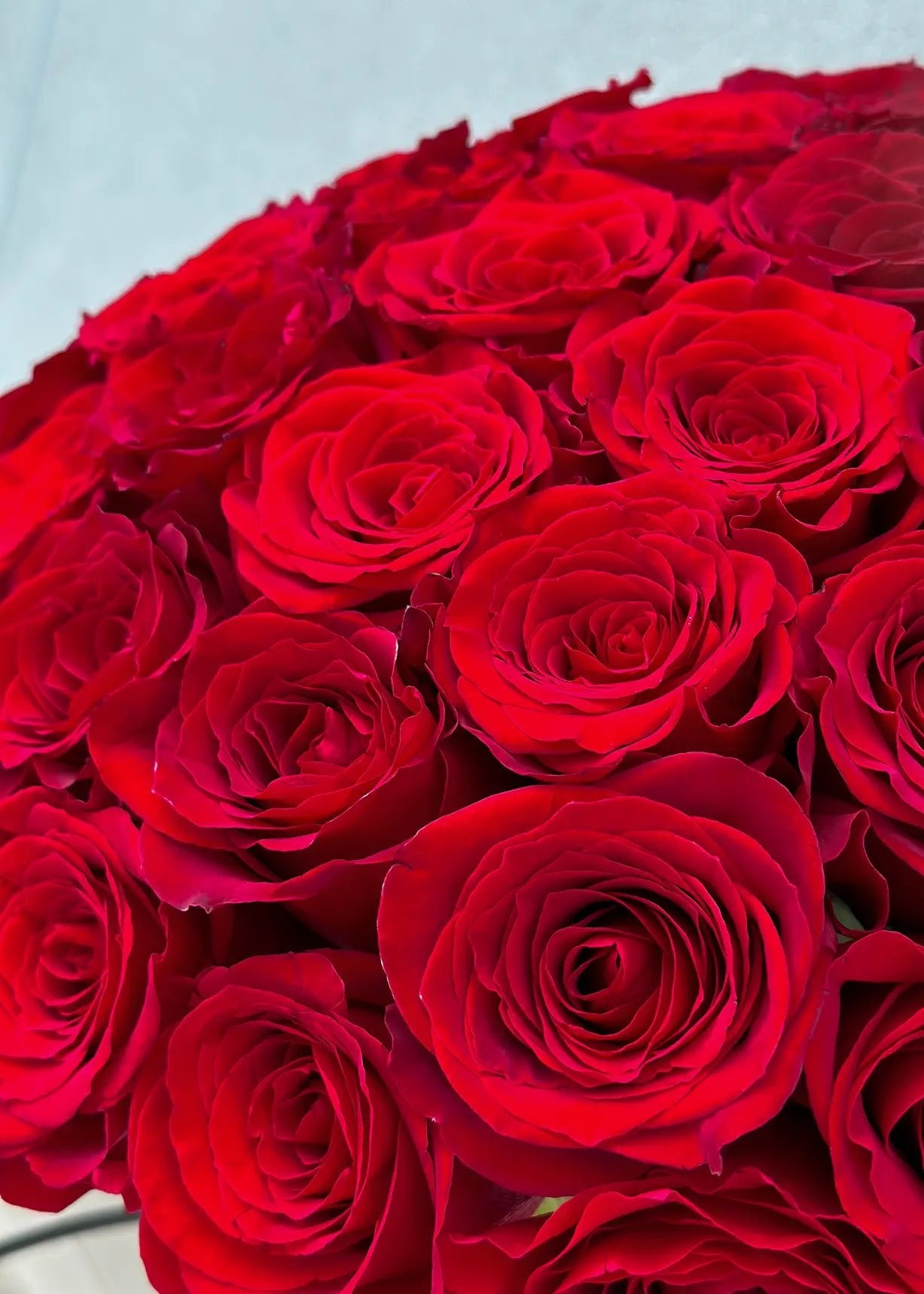 NO. 25. Classic Roses in Box | Cherry Blossom | Flowers Delivery in LA